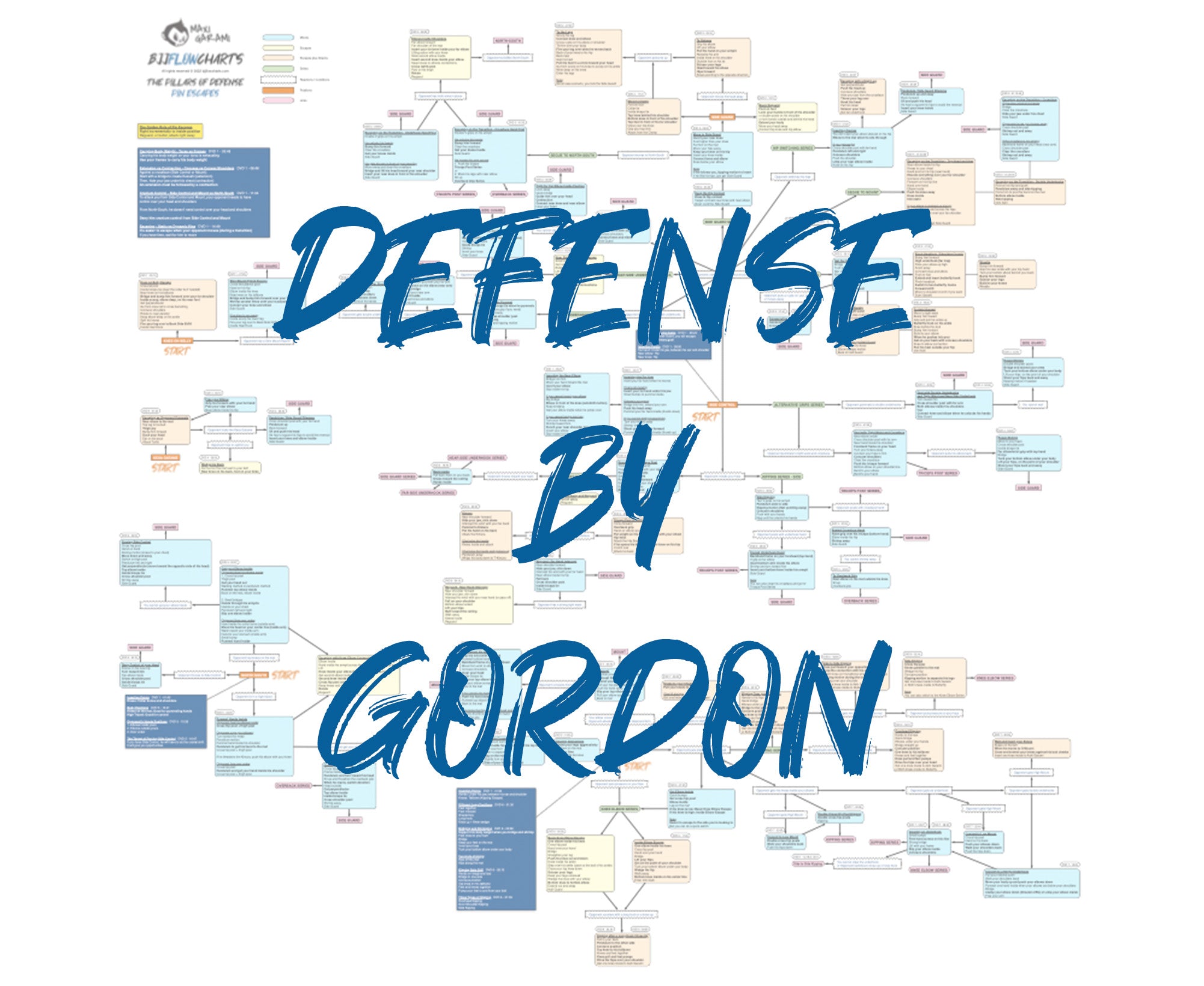 Bundle - Defense by Gordon – BJJFlowCharts
