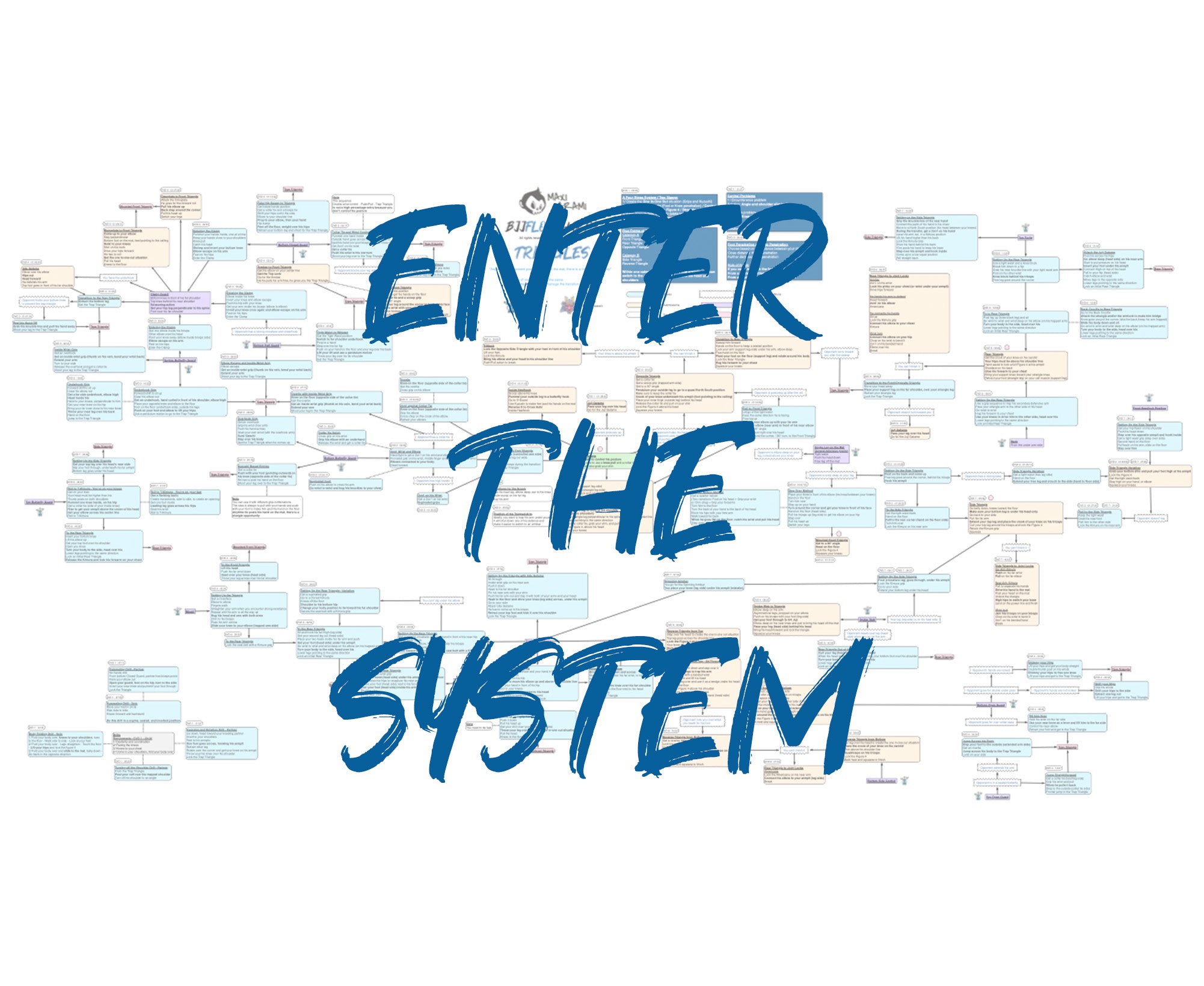 Bundle - Enter the System – BJJFlowCharts