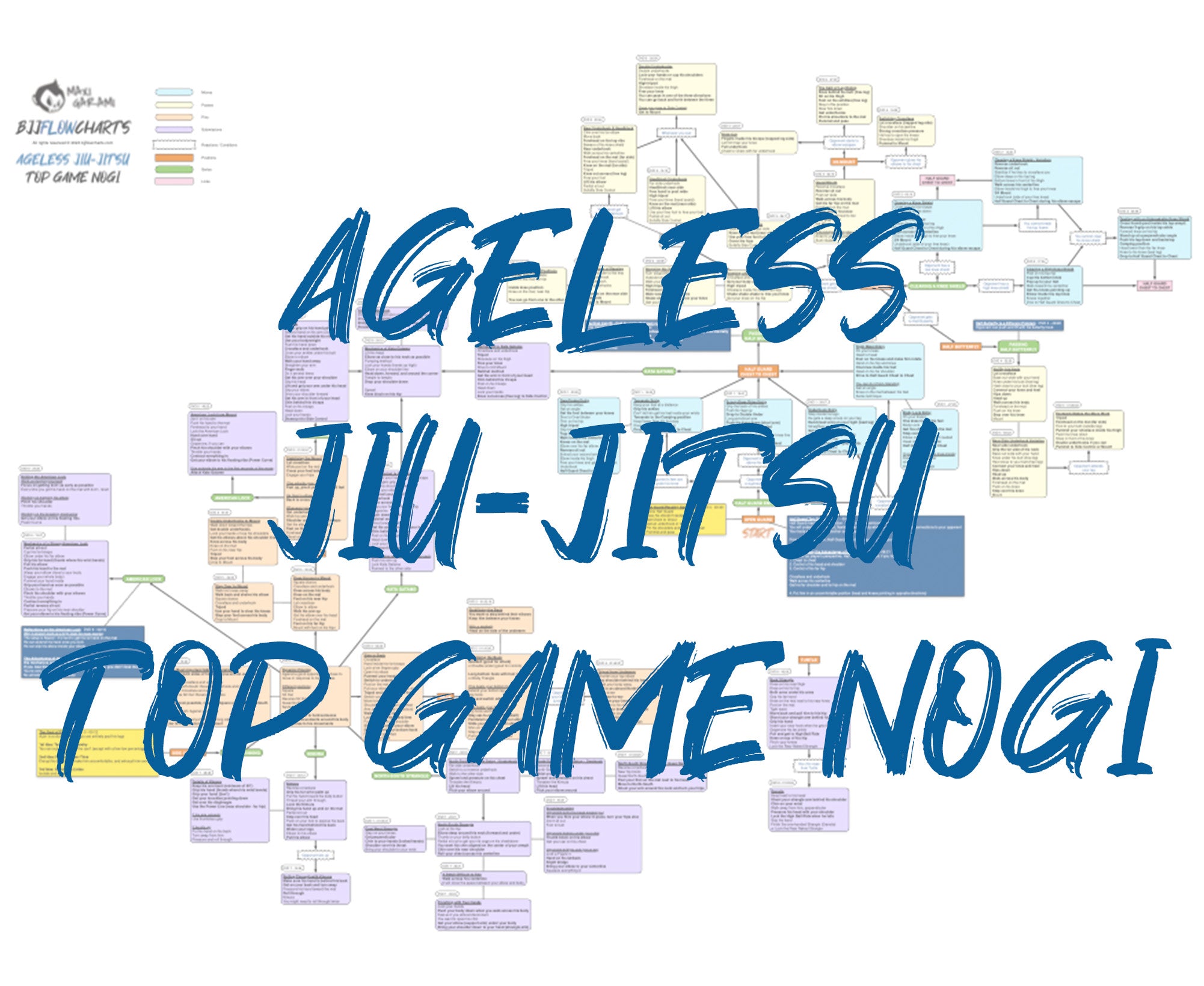 FlowChart - Ageless Jiu-Jitsu Top Game NoGi by John Danaher – BJJFlowCharts