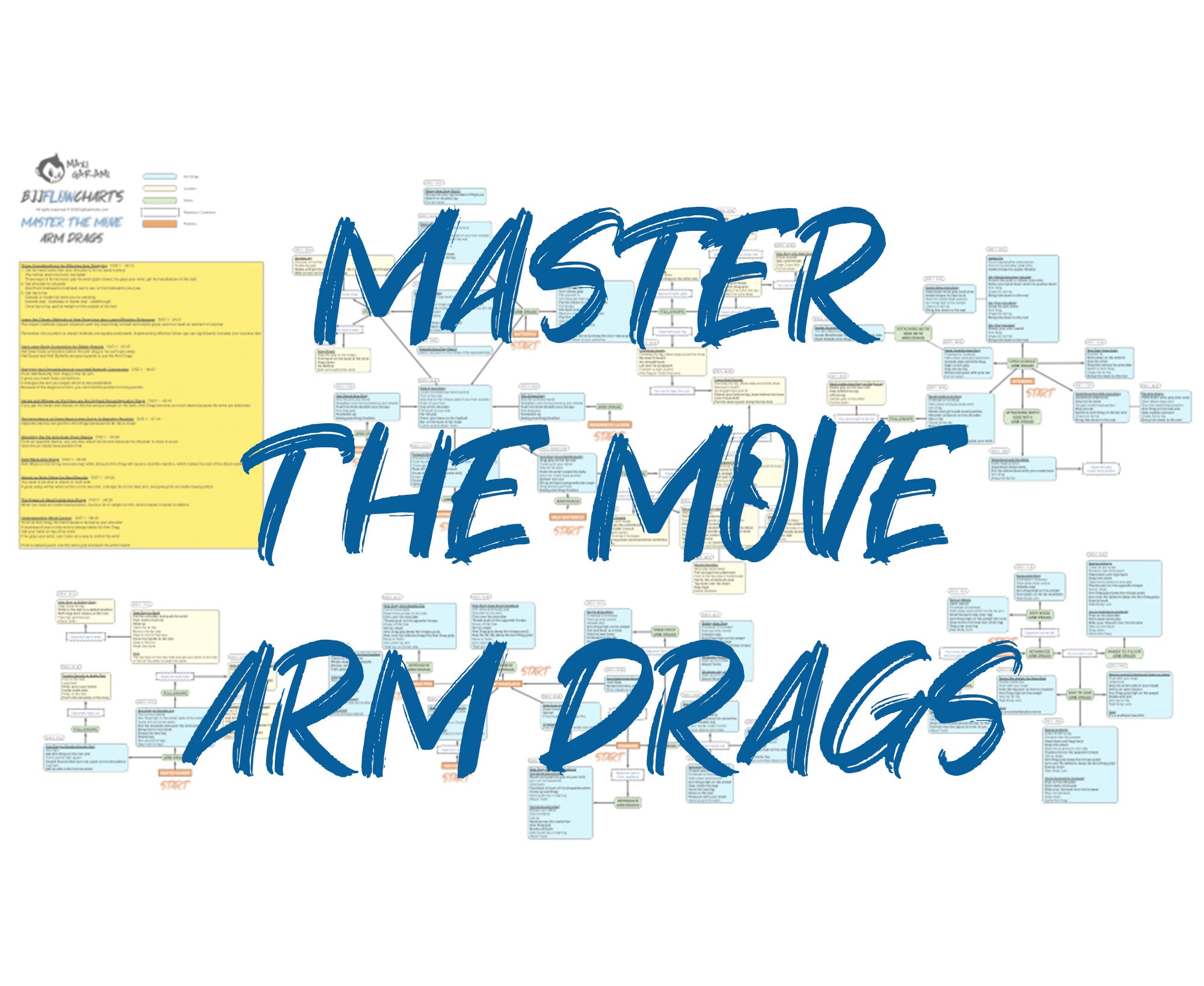FlowChart - Master the Move: Arm Drags by John Danaher – BJJFlowCharts