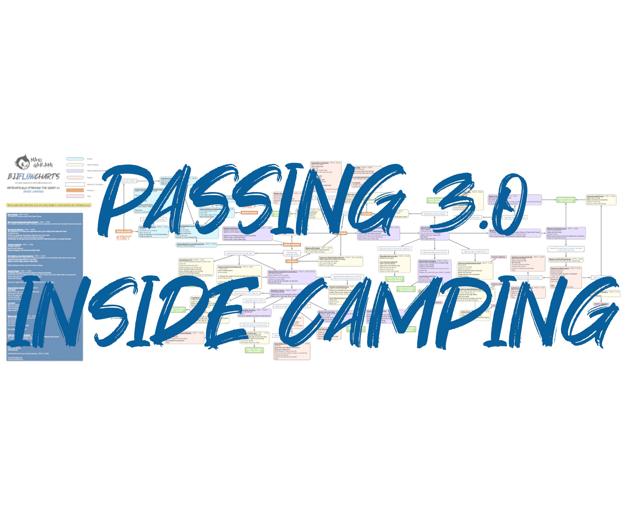 FlowChart - Systematically Attacking The Guard 3.0 by Gordon Ryan ...